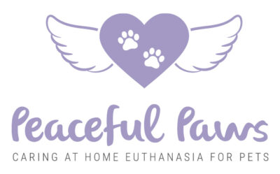 Logo design portfolio | Flutterflies Design | Adelaide